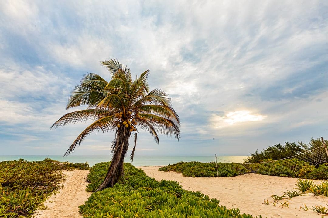 8 Reasons to Discover El Cuyo Yucatan's Beach Charm