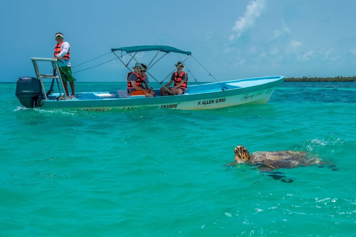 Essential guide to the Sian Ka'an Biosphere to read before booking your ...