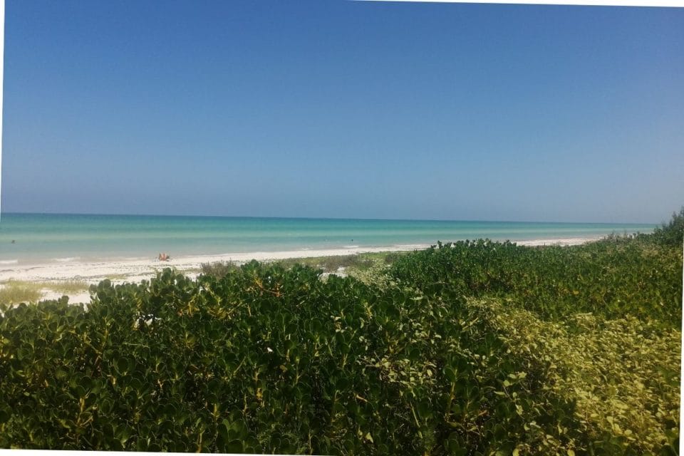 8 Reasons to Discover El Cuyo Yucatan's Beach Charm