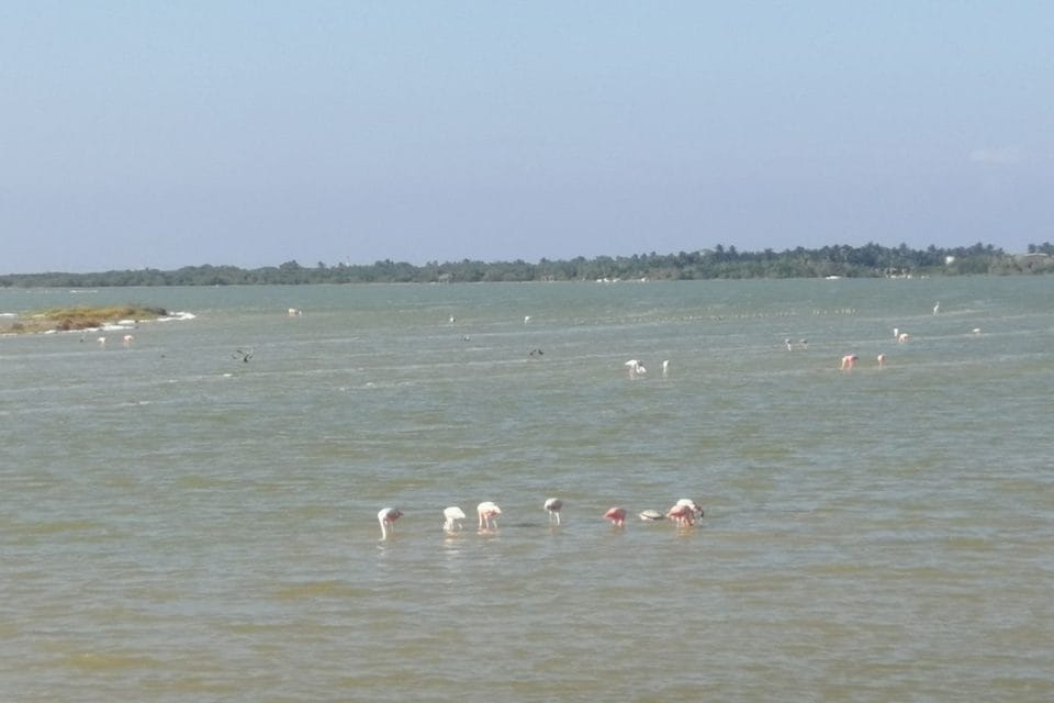 El Cuyo Yucatan, Visit This Charming Hidden Gem On The Beach