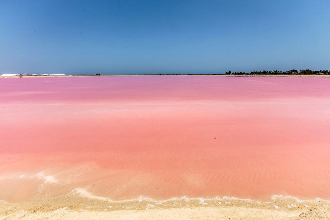 The Complete Guide to Las Coloradas Yucatan Pink Salt lakes