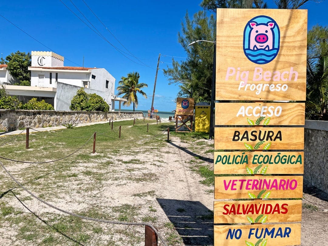 The 11 best beaches in Merida Mexico - Yucatan travel guide