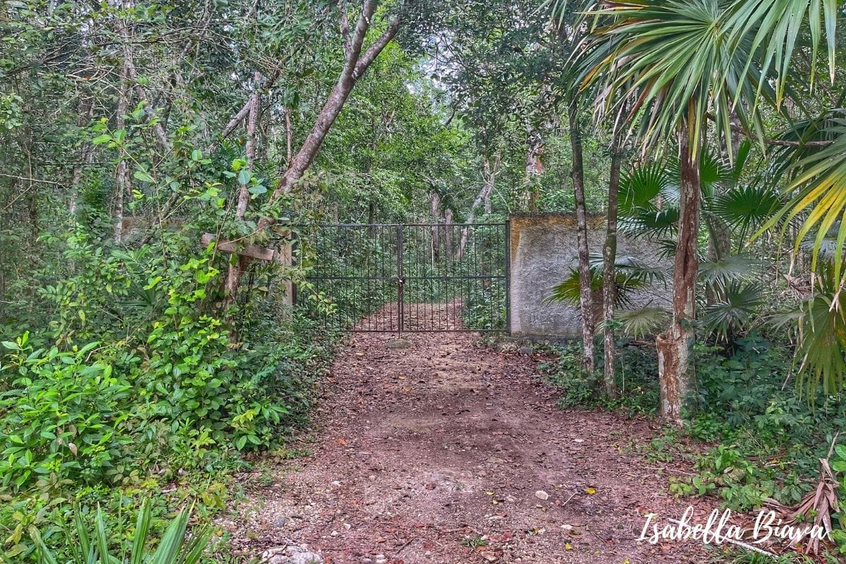 How to visit the Cenote Isla Alamos, an hidden gem