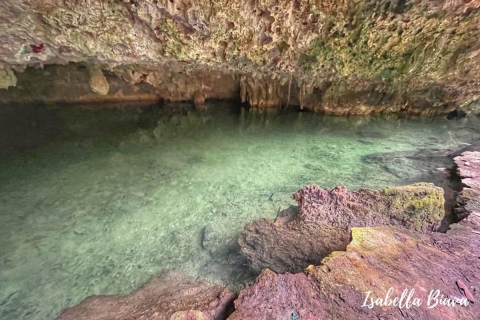 How to visit the Cenote Isla Alamos, an hidden gem