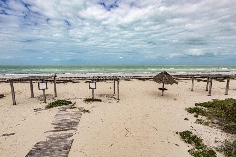 The Complete Guide to Las Coloradas Yucatan Pink Salt lakes