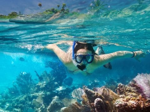 The 19 Best Places for Snorkeling in Mexico