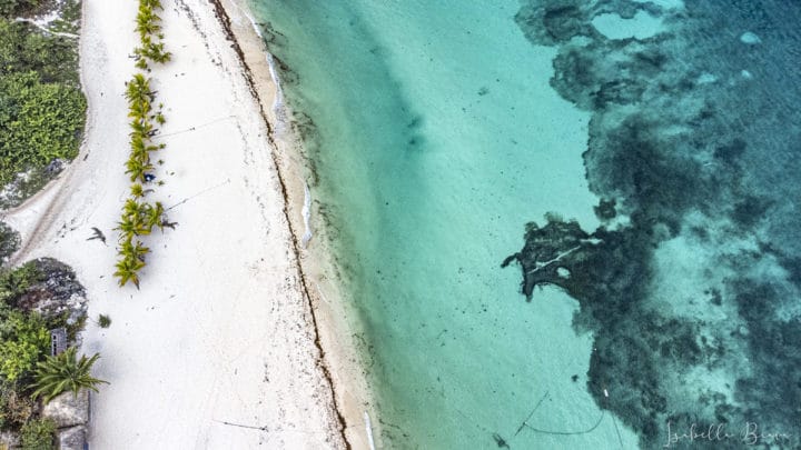 Does It Snow in Mexico? A Guide to All the Amazing Places Where it ...