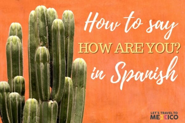 19 Ways to Say How Are You in Spanish [Includes Formal Language and Slang]