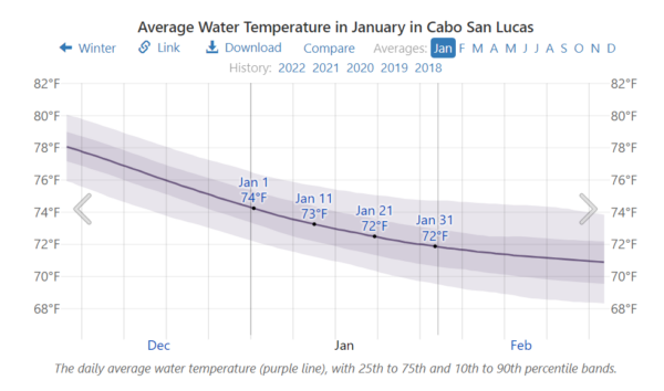 Traveling to Cabo San Lucas in January: Weather, Events, and Things to Do