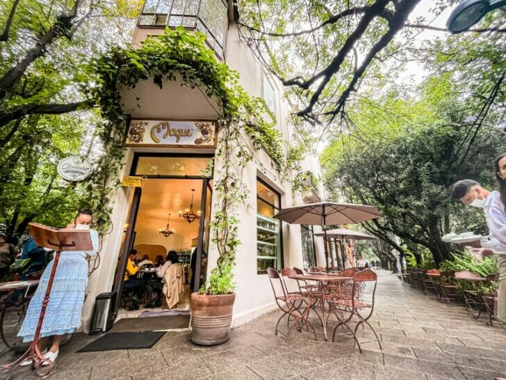 The 37 Best Restaurants in Roma Norte & Condesa Mexico City