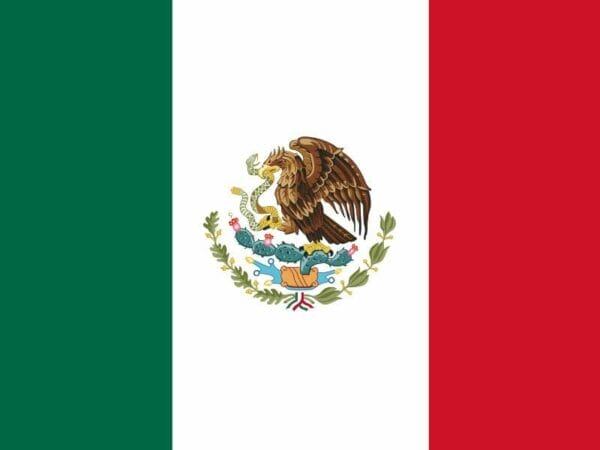 National Bird of Mexico: The Golden Eagle and Its Symbolism