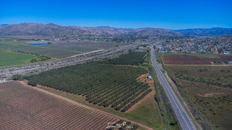 27 Best Things to Do in Ensenada: Complete Guide 2025
