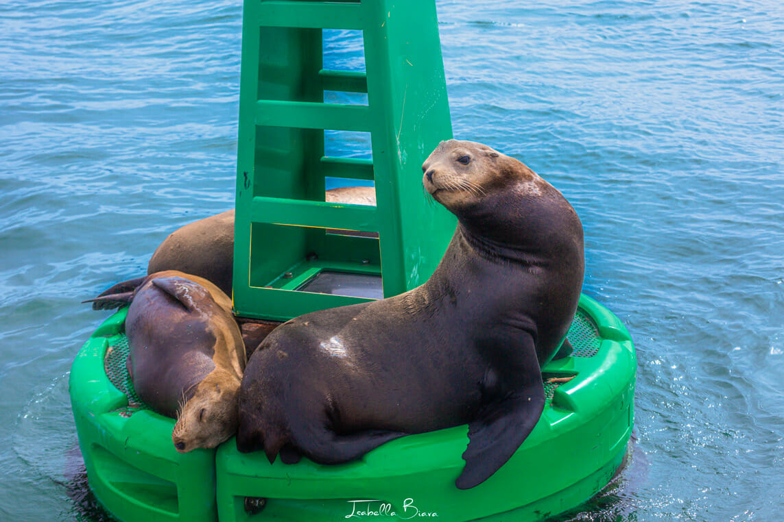 27 Best Things to Do in Ensenada: Complete Guide 2025