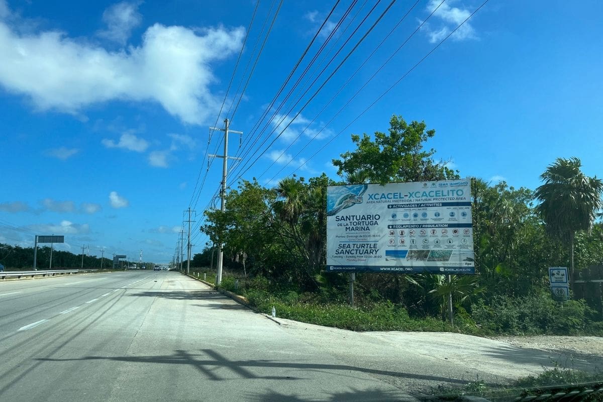 Playa Xcacel Guide: Everything You Need to Know