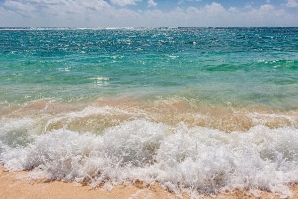 Playa Xcacel Guide: Everything You Need to Know