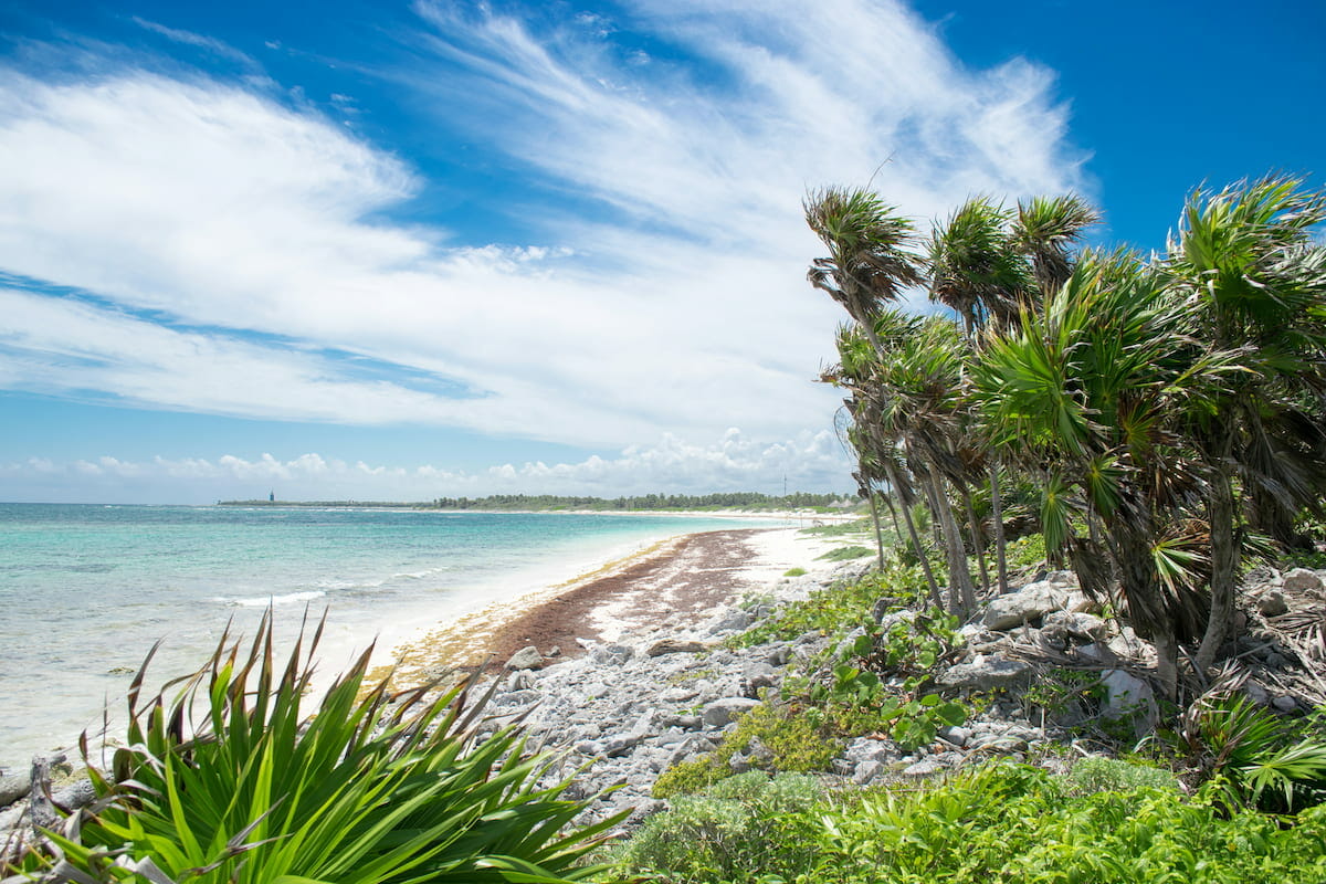 Playa Xcacel Guide: Everything You Need to Know