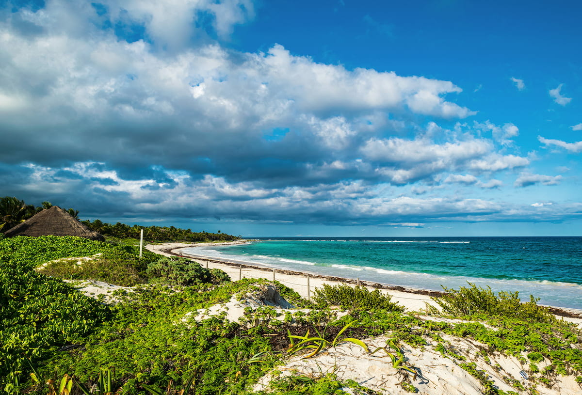 Playa Xcacel Guide: Everything You Need to Know