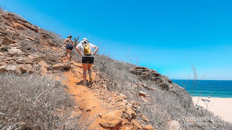 🥾 Hiking to Punta Lobos View Point in Todos Santos Baja California Sur ...